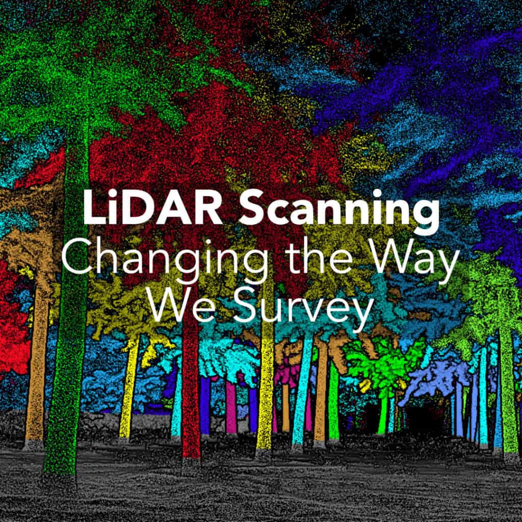 3D Laser Scanning in Surveying: Digital Twins - Bench Mark USA